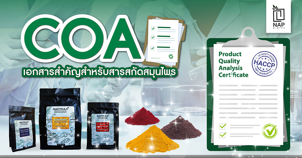 COA เอกสารสำคัญสำหรับสารสกัดสมุนไพร - NAP Biotec Co., Ltd.