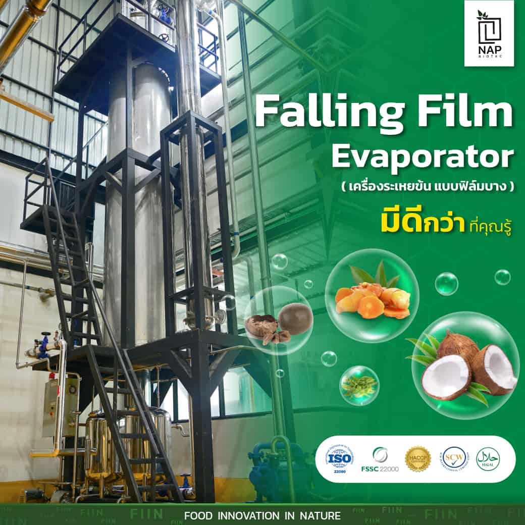 เครื่อง "Falling Film Evaporator" มีดีกว่าที่คุณรู้ - NAP Biotec Co., Ltd.
